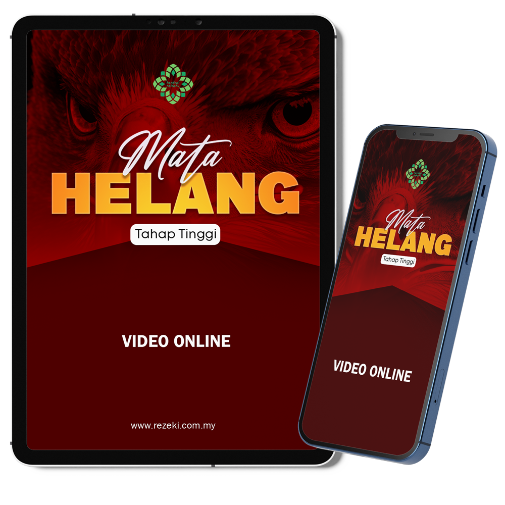 Mata Helang Tahap Tinggi – Video Bengkel Rezeki